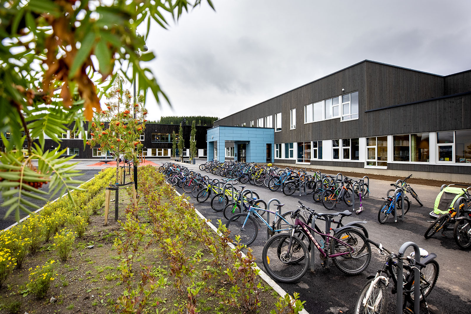 BP3 Prosjekt ferdigstilte nye Bardu skole og kulturarena under budsjett ...